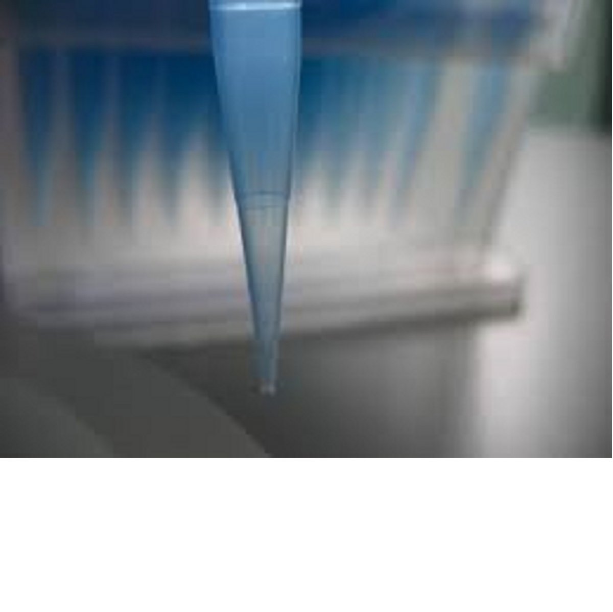 Laboratory single use | TITOLCHIMICA